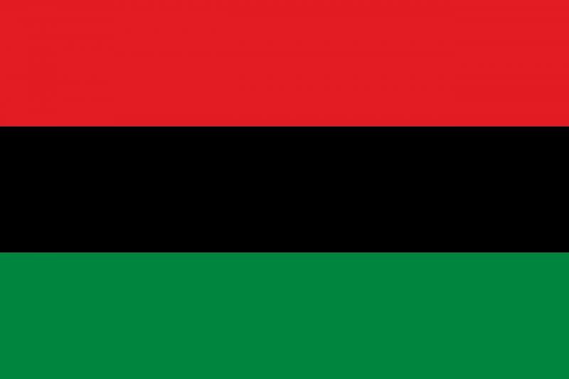 Our Flag - The Lee County Black History Society