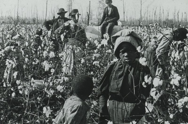 Timeline in Black History - The Lee County Black History Society